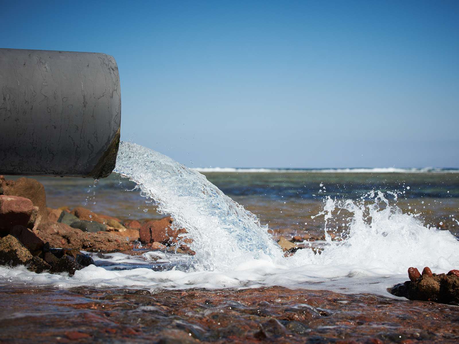 Wastewater Samples | Scilogex